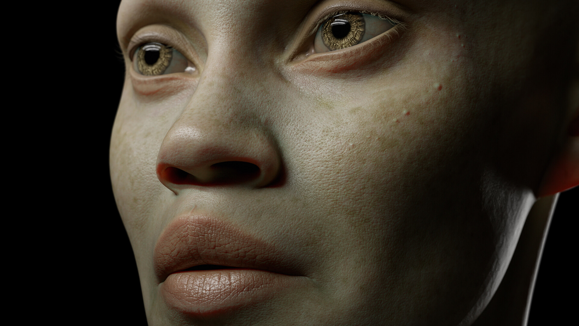 3D Scan Store - Exomorphs