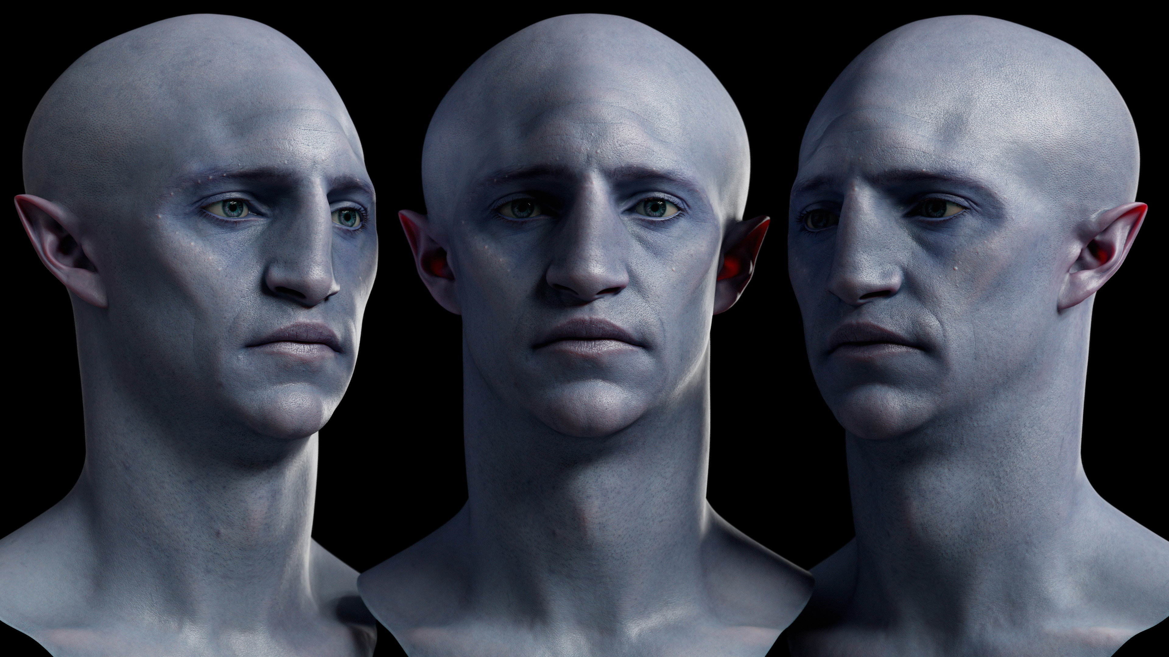 3D Scan Store - Exomorphs