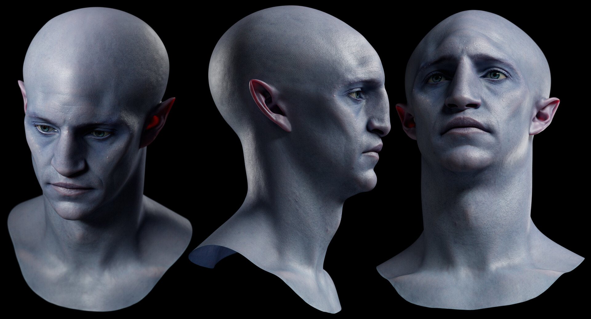 3D Scan Store - Exomorphs