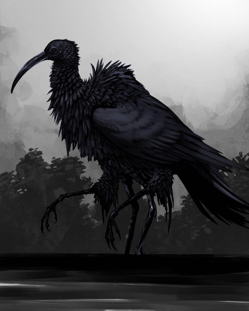 Votdren - creature concept sketches