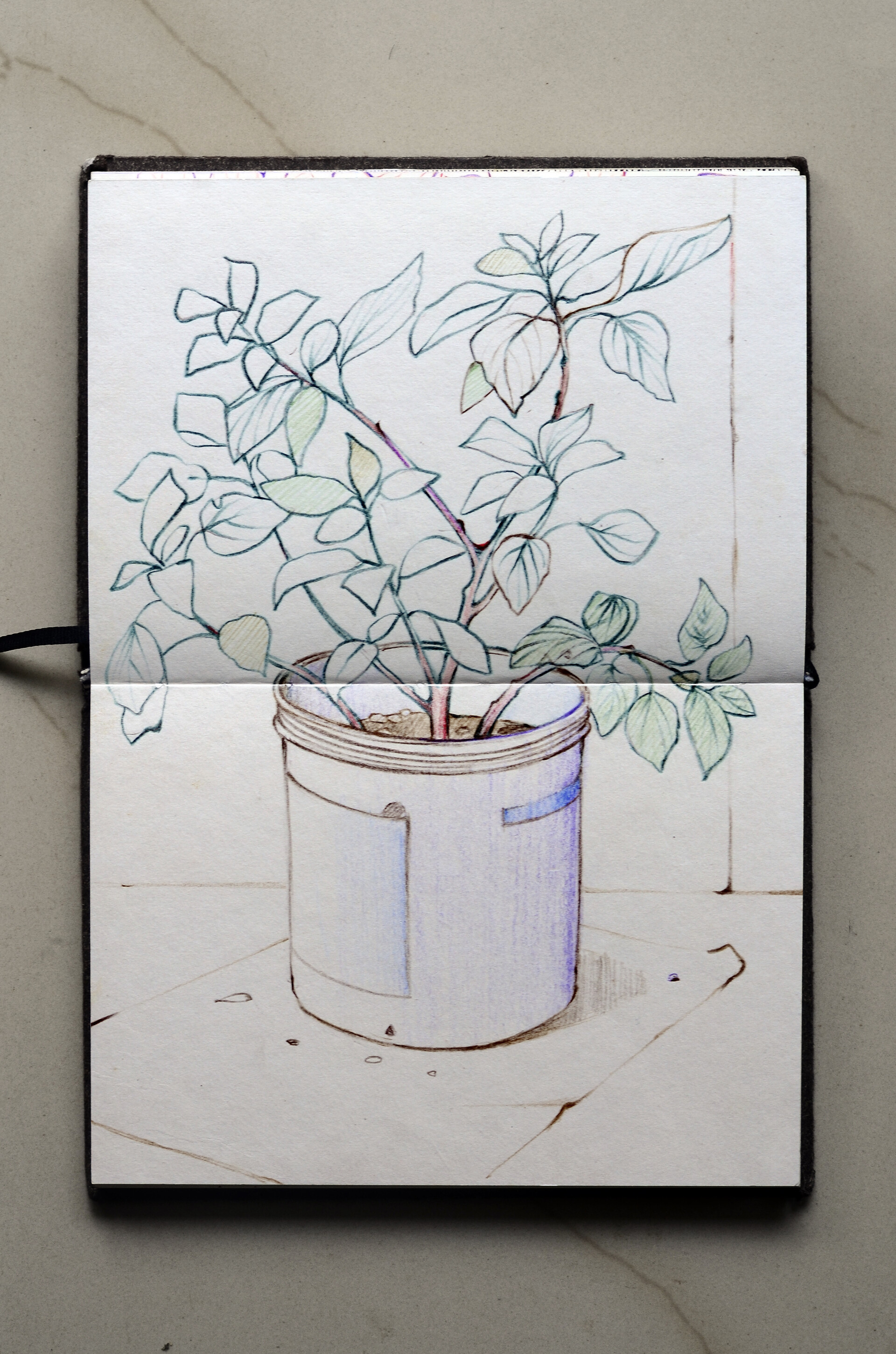 ArtStation - Drawing-Plant on a Plastic Cup