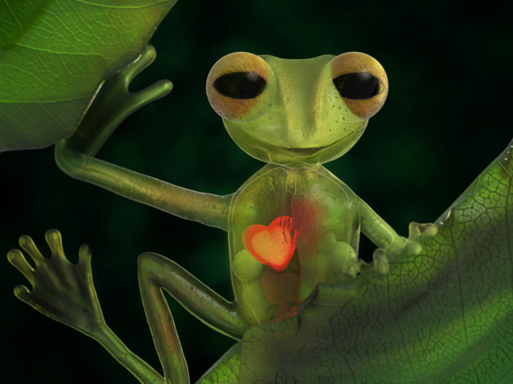 ArtStation - See-Through Frog