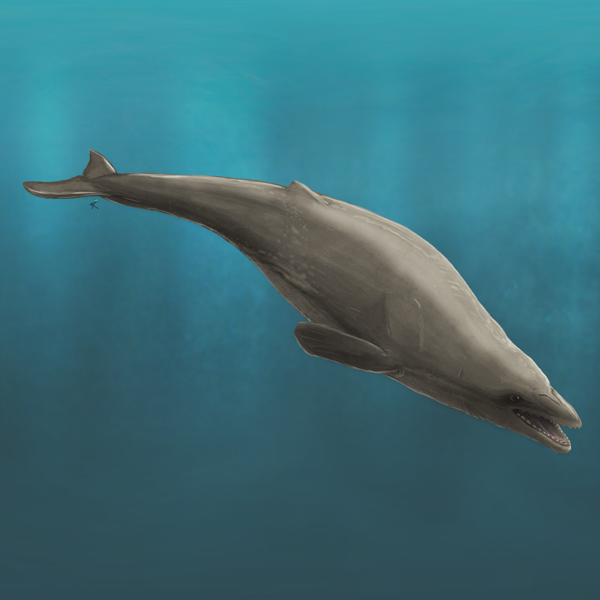 ArtStation - Fucaia goedertorum