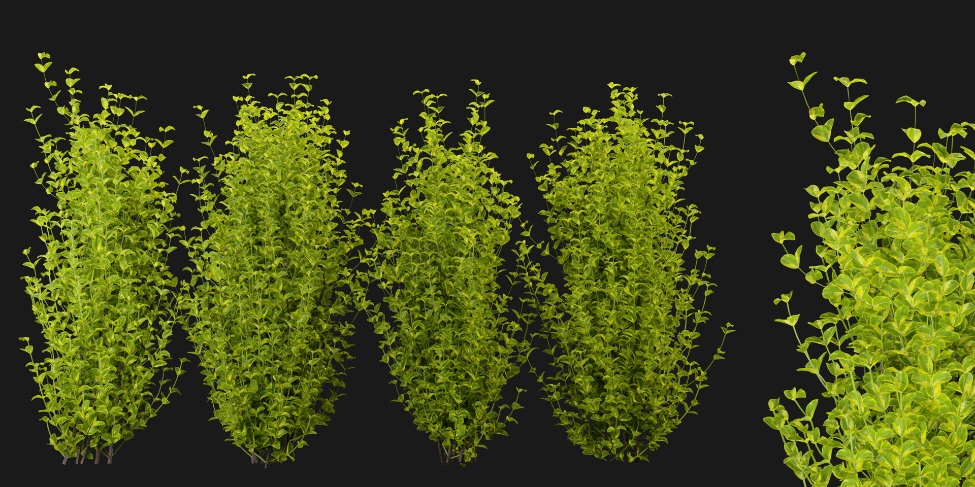 ArtStation - Collection Plant Vol 369 - Blender Model