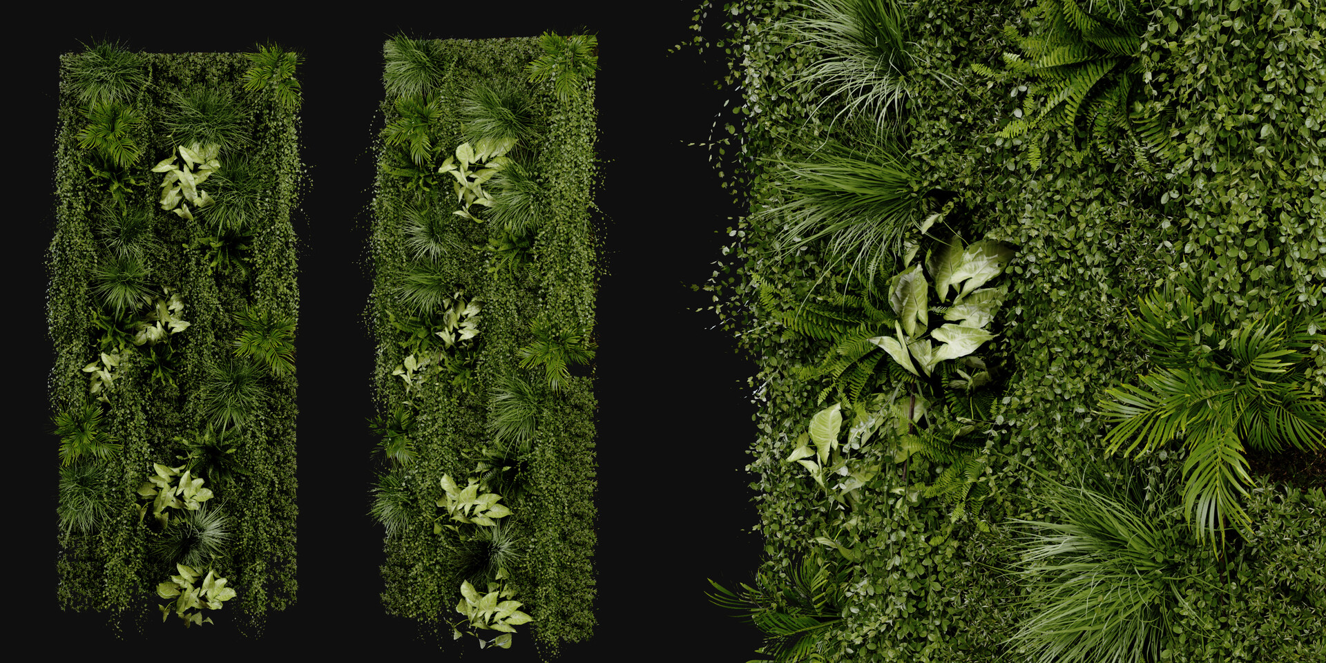 ArtStation - Collection Plant Vol 386 - Blender Model