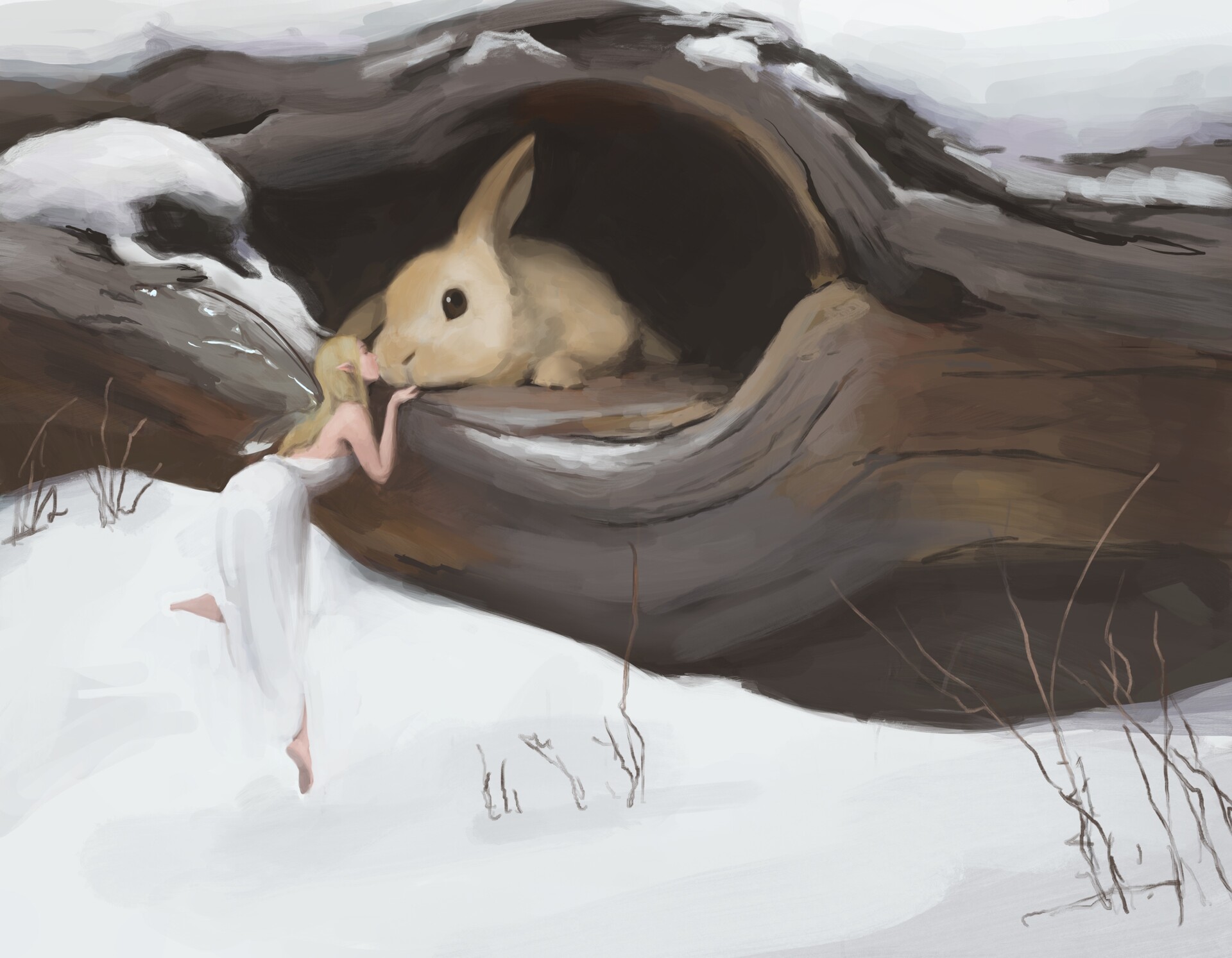 The Gentle Snow Fairy by Sandra Brand : r/ImaginaryFaeries