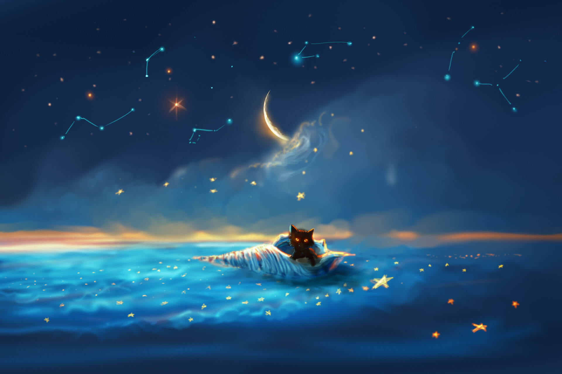 Cat on the Sea on a Shell by Ahmad Alromeadheen : r/ImaginaryStarscapes