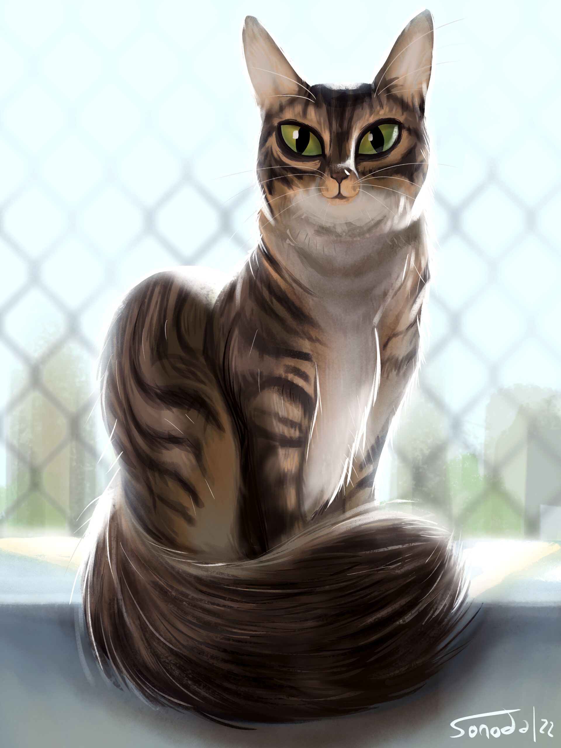 ArtStation - Pingo, the cat