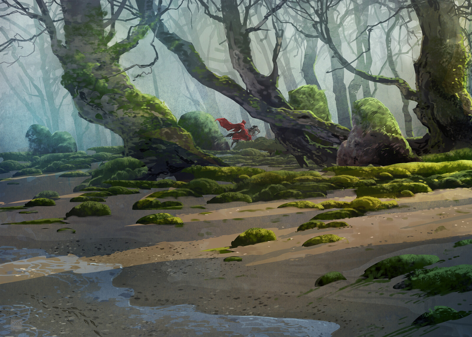 Davood Moghaddami - Island