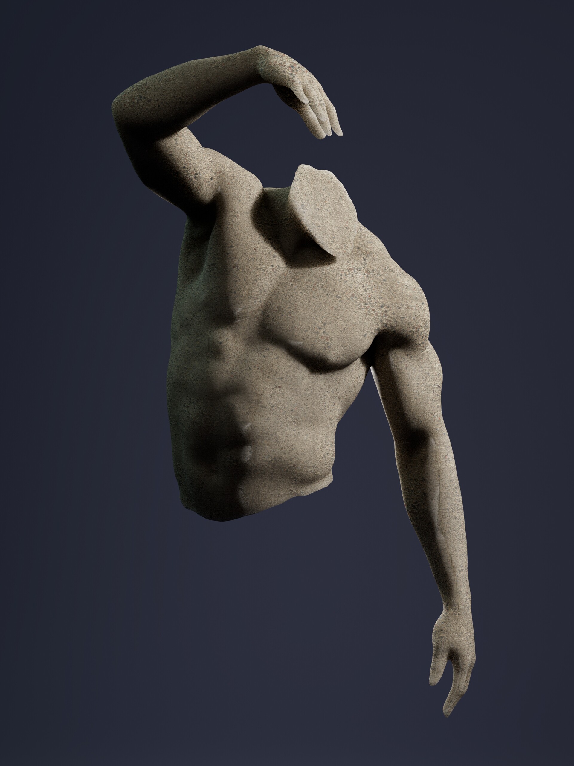 ArtStation - Anatomy Study - Upper Body