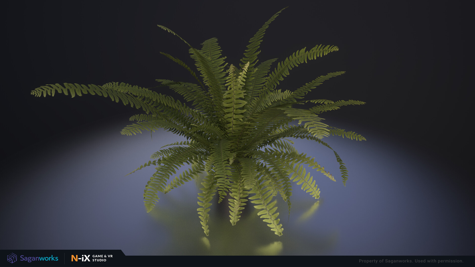 ArtStation - Saganworks - Fern