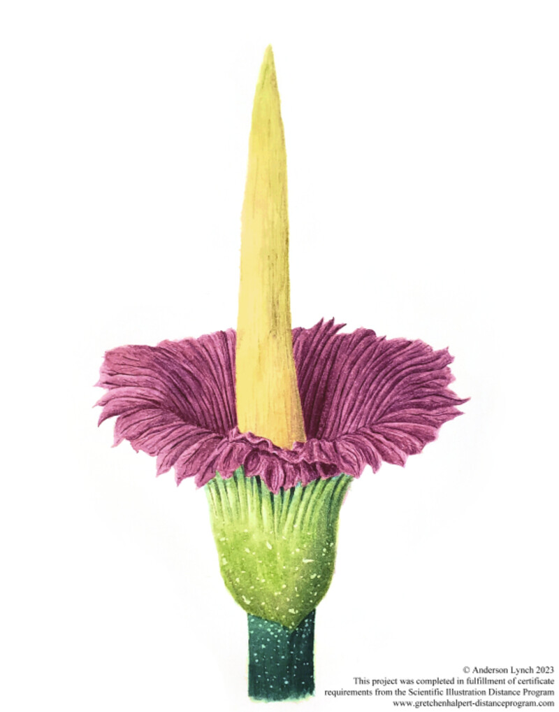 ArtStation - Andy Lynch