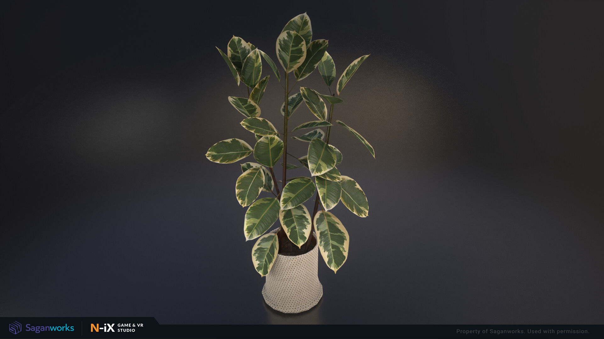 ArtStation - Saganworks - Rubber tree