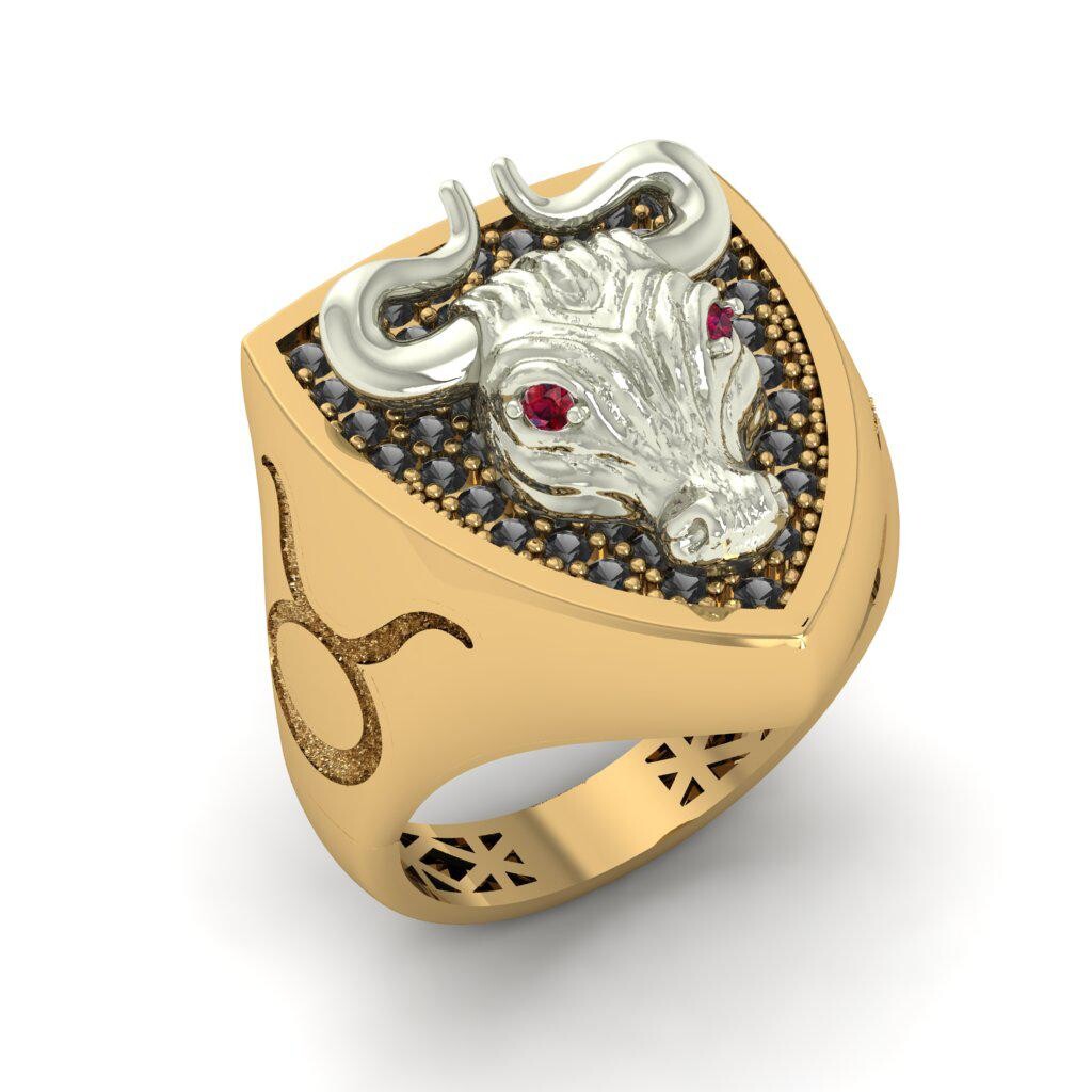 ArtStation - bull ring