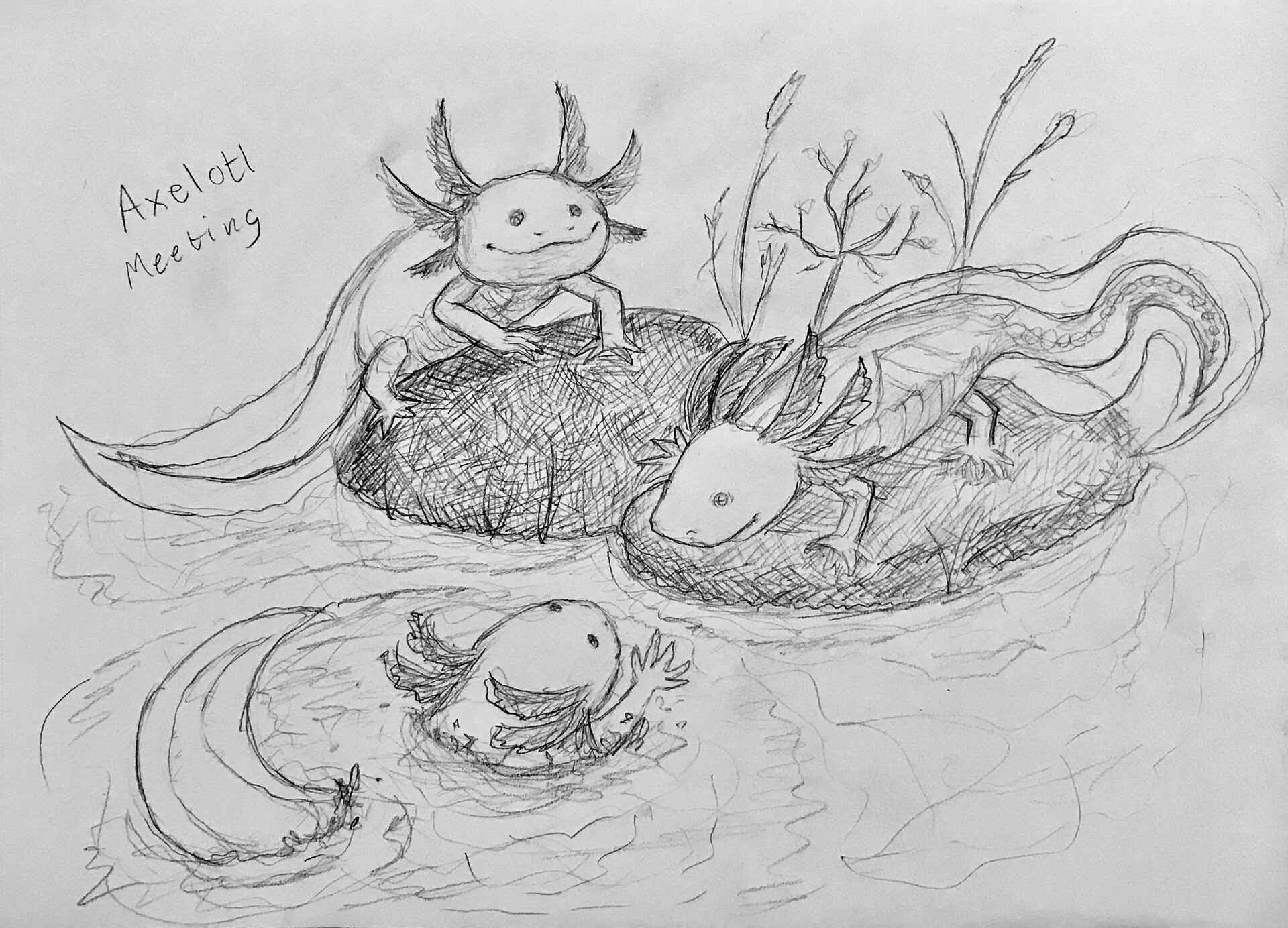 ArtStation - Axolotl meeting