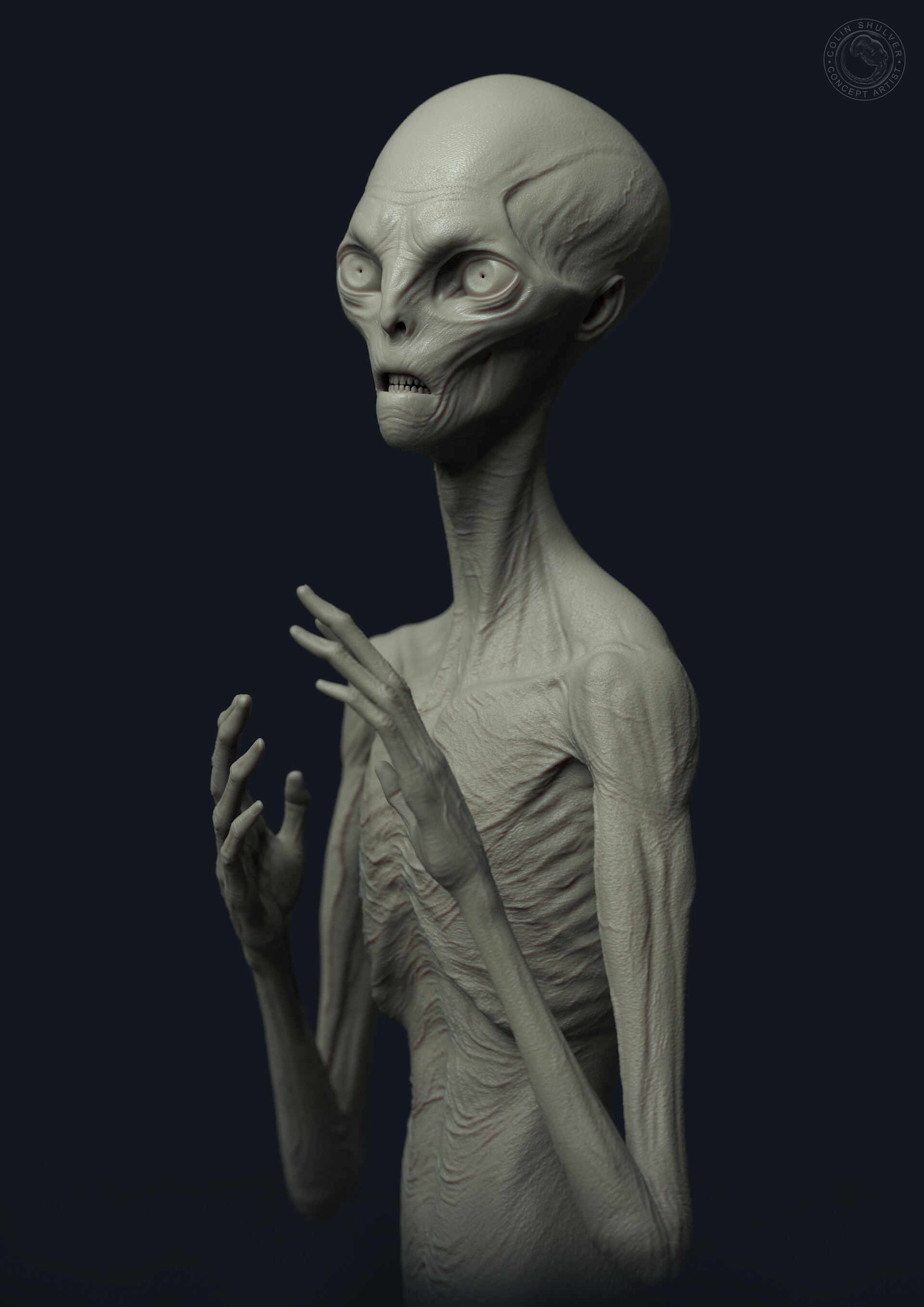 COLIN SHULVER - Grey Alien