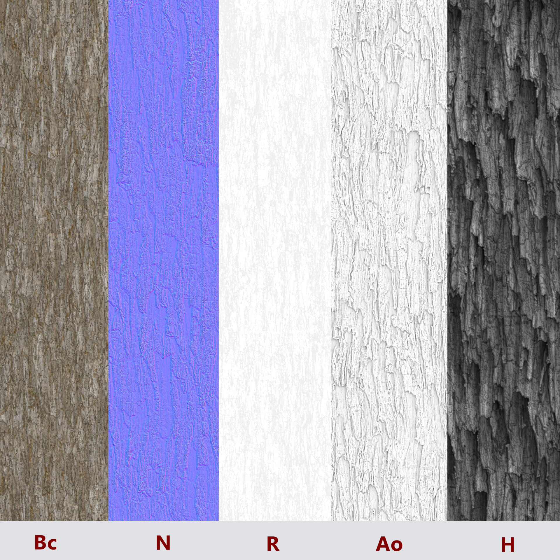Tree-bark case study by Francesca Pastori — ProUser.Me