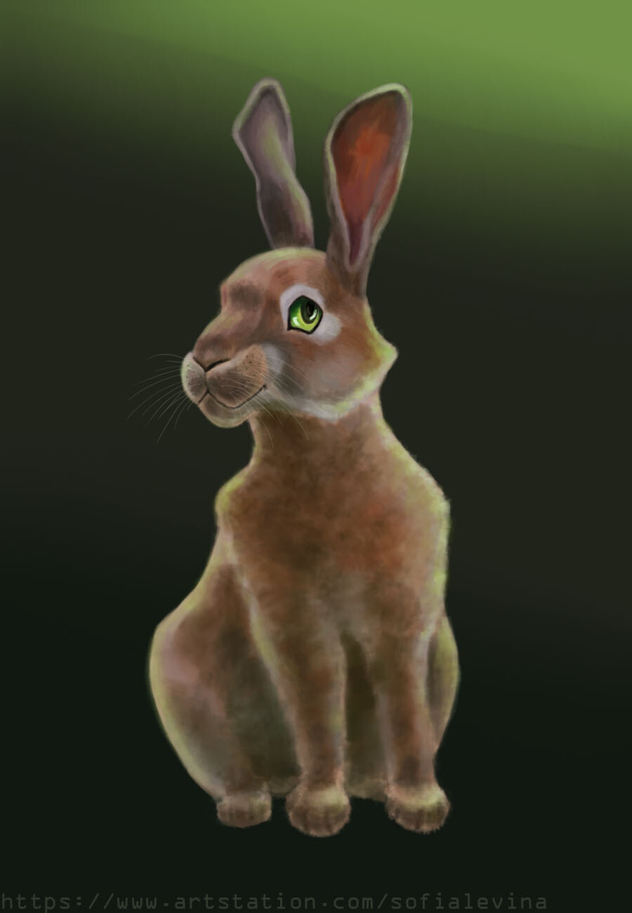 ArtStation - hARE!