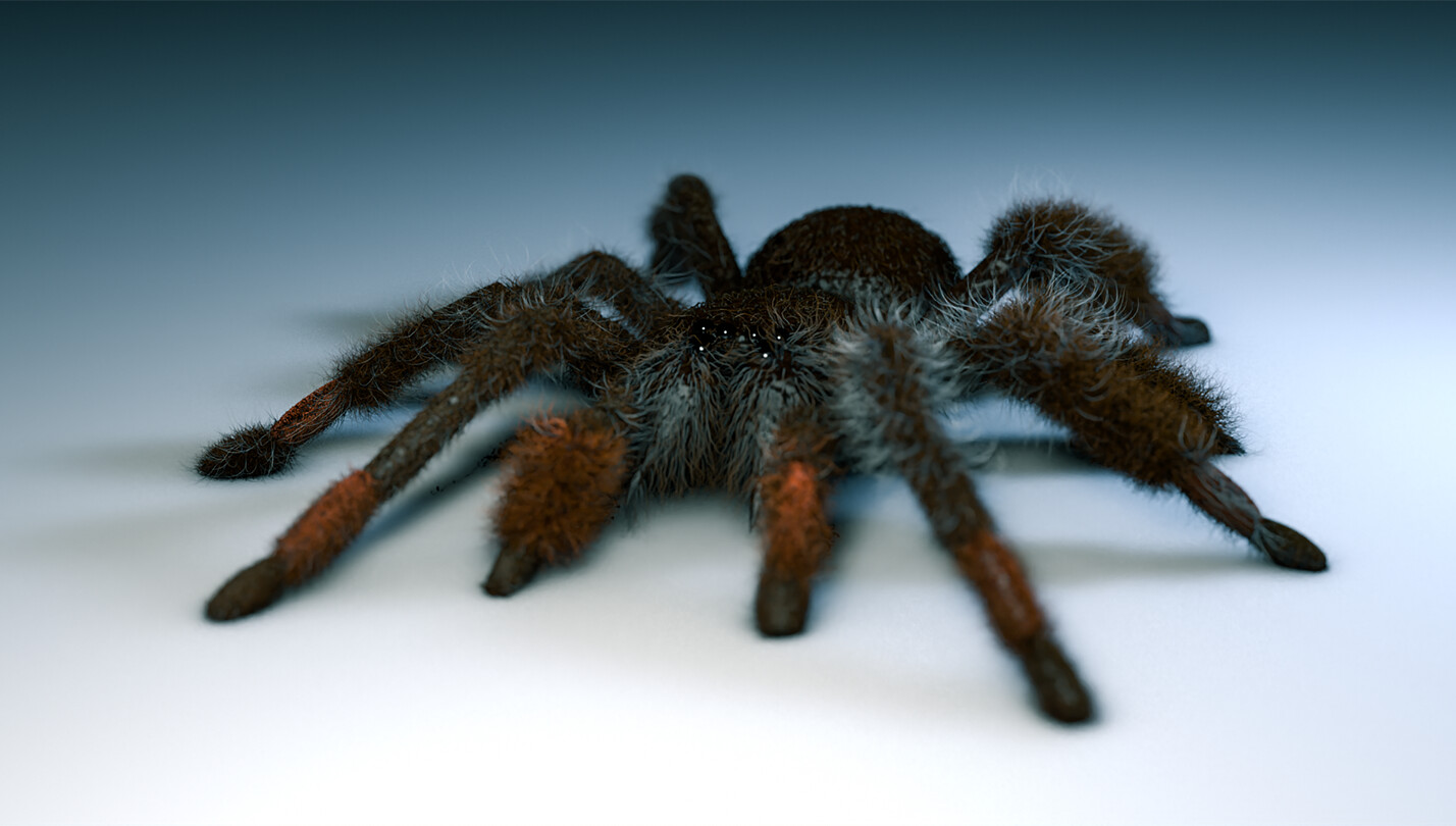 ArtStation - Tarantula - Personal Project