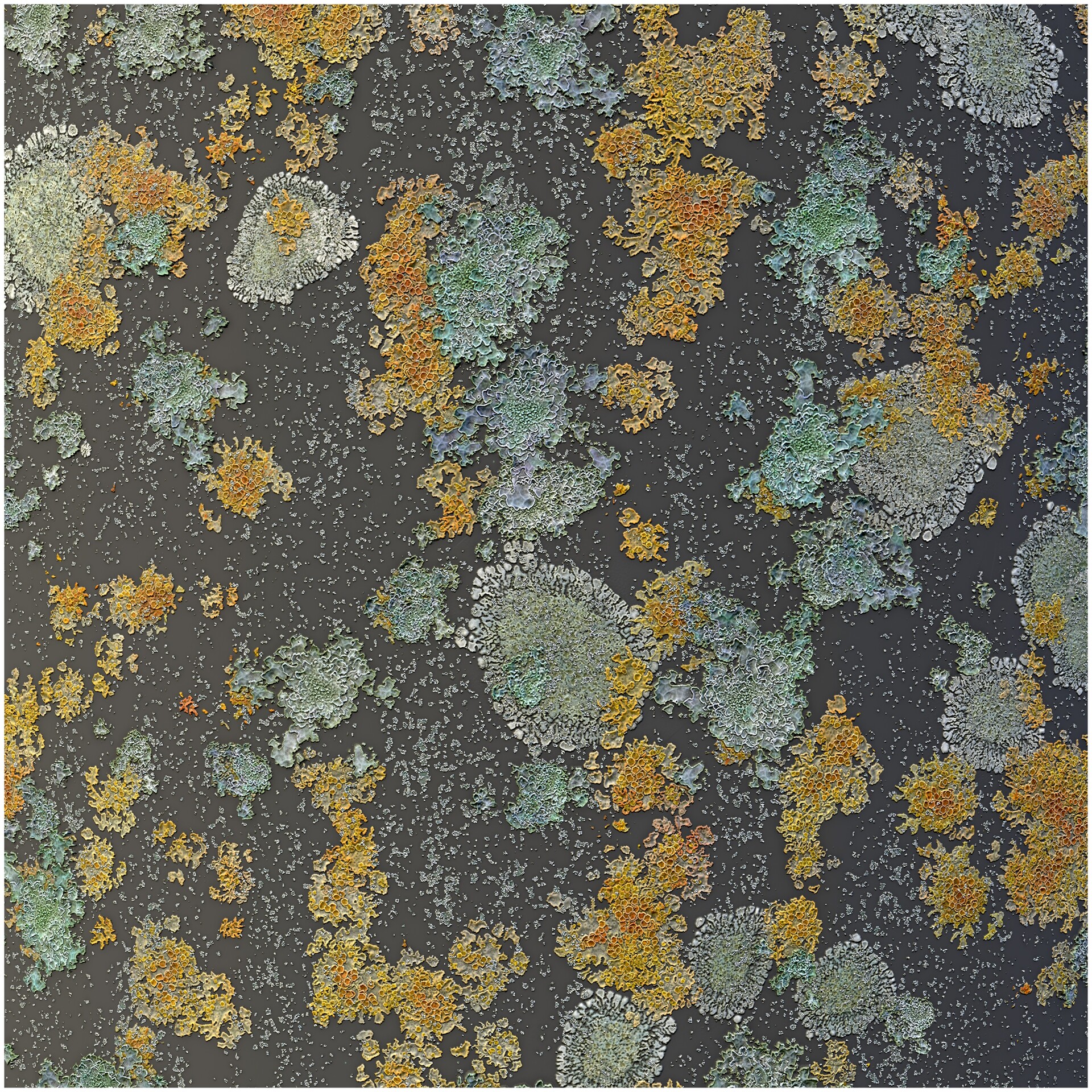 ArtStation - Lichen Texture