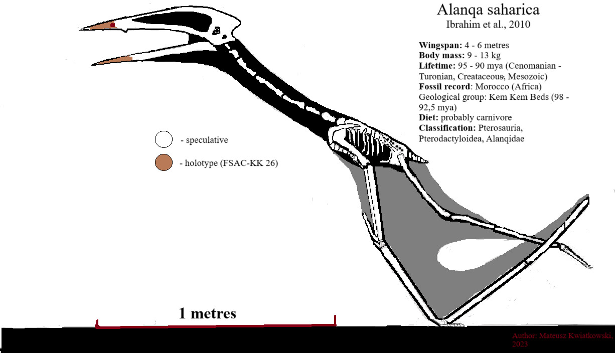 ArtStation - Alanqa Skeletal Reconstruction