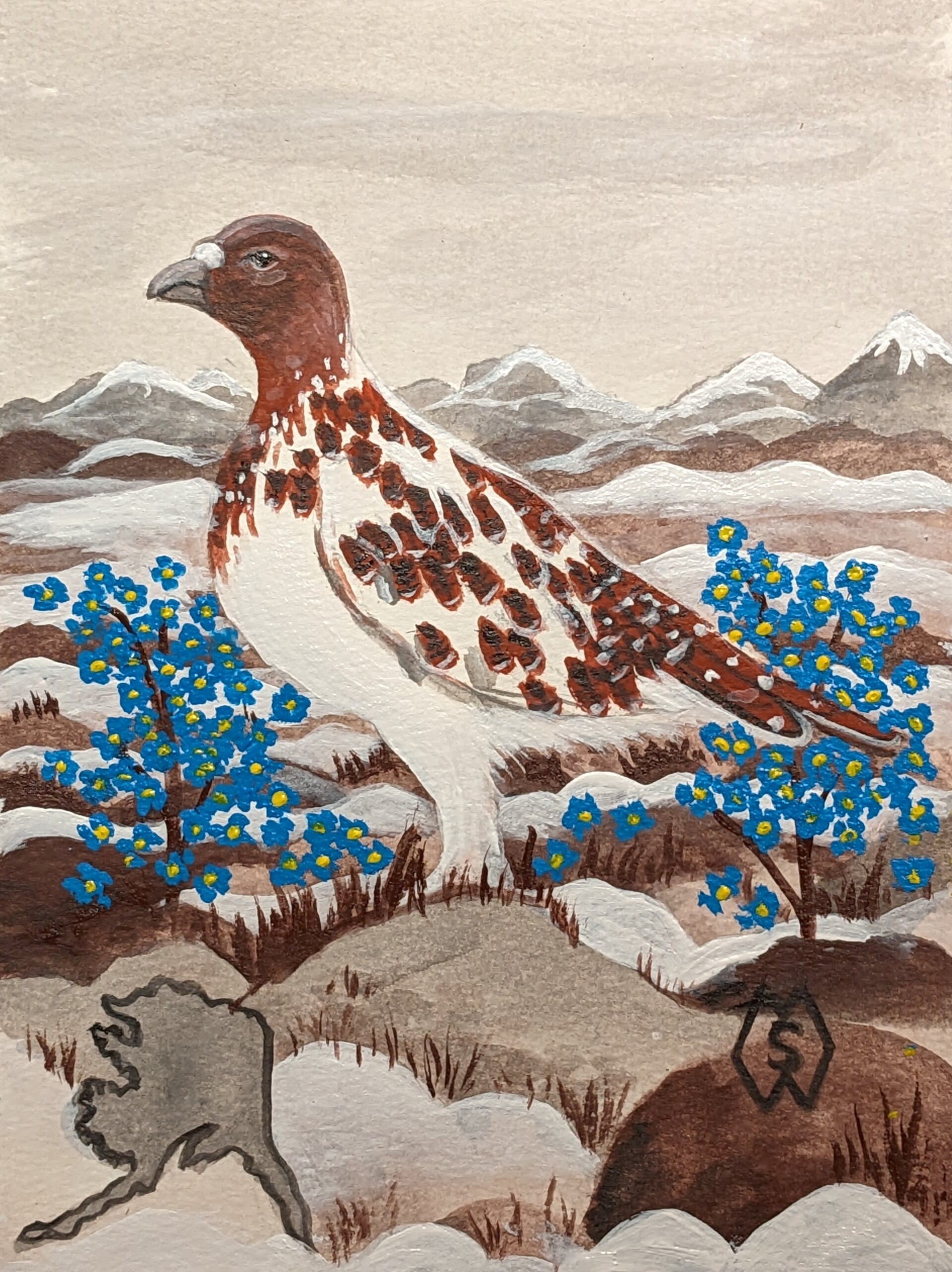 ArtStation - Alaska state bird and flower, the willlow ptarmigan and ...