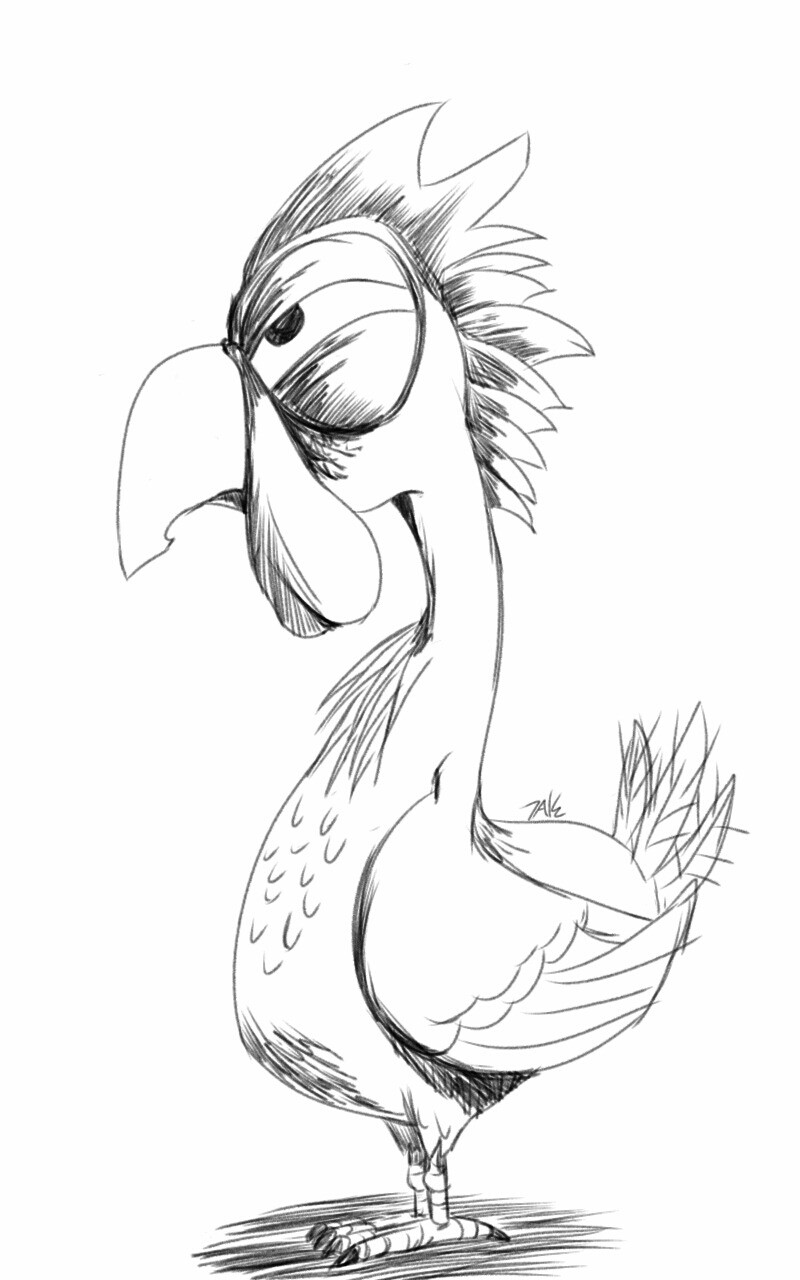 Angry Bird Drawing Book