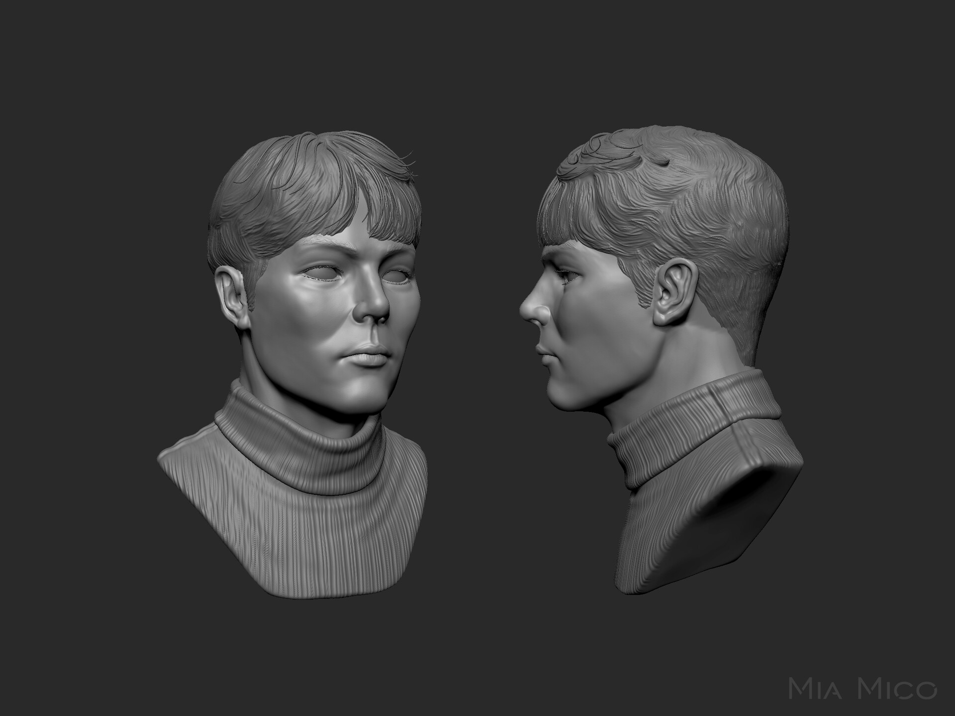 ArtStation - Head sculpts practice 1