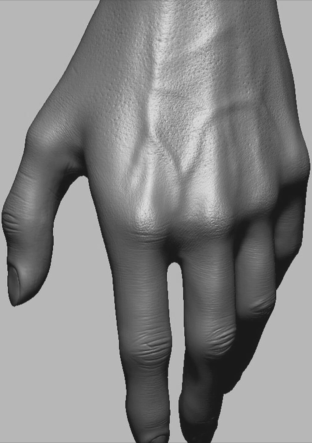ArtStation - Hand Study - Digital Sculpting #Zbrush