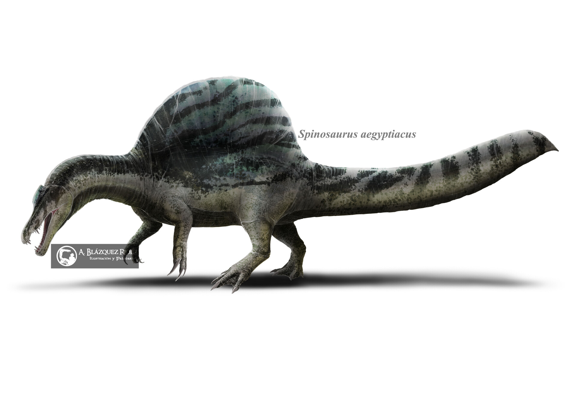 spinosaurus aeg