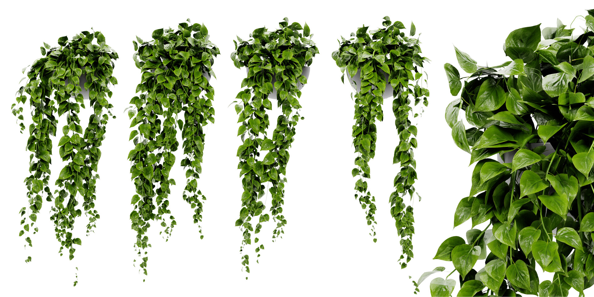 ArtStation - Collection Plant Vol 454 - Blender Model