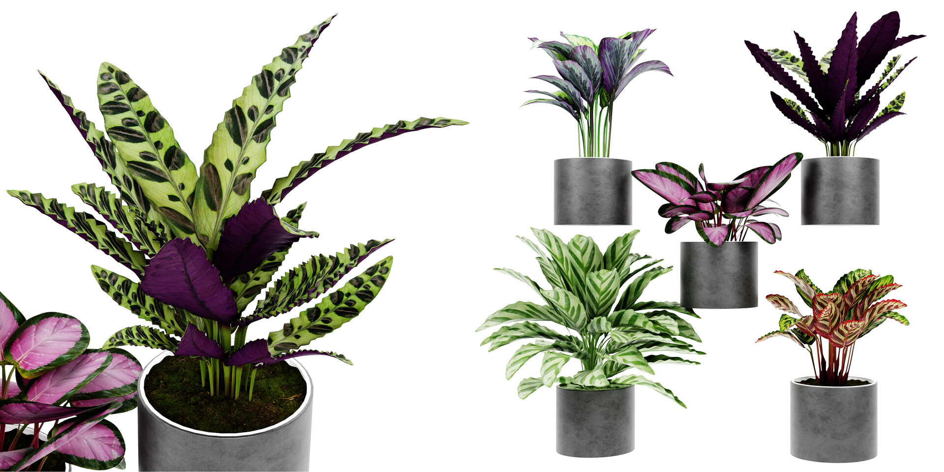 ArtStation - Collection Plant Vol 459 - Blender Model