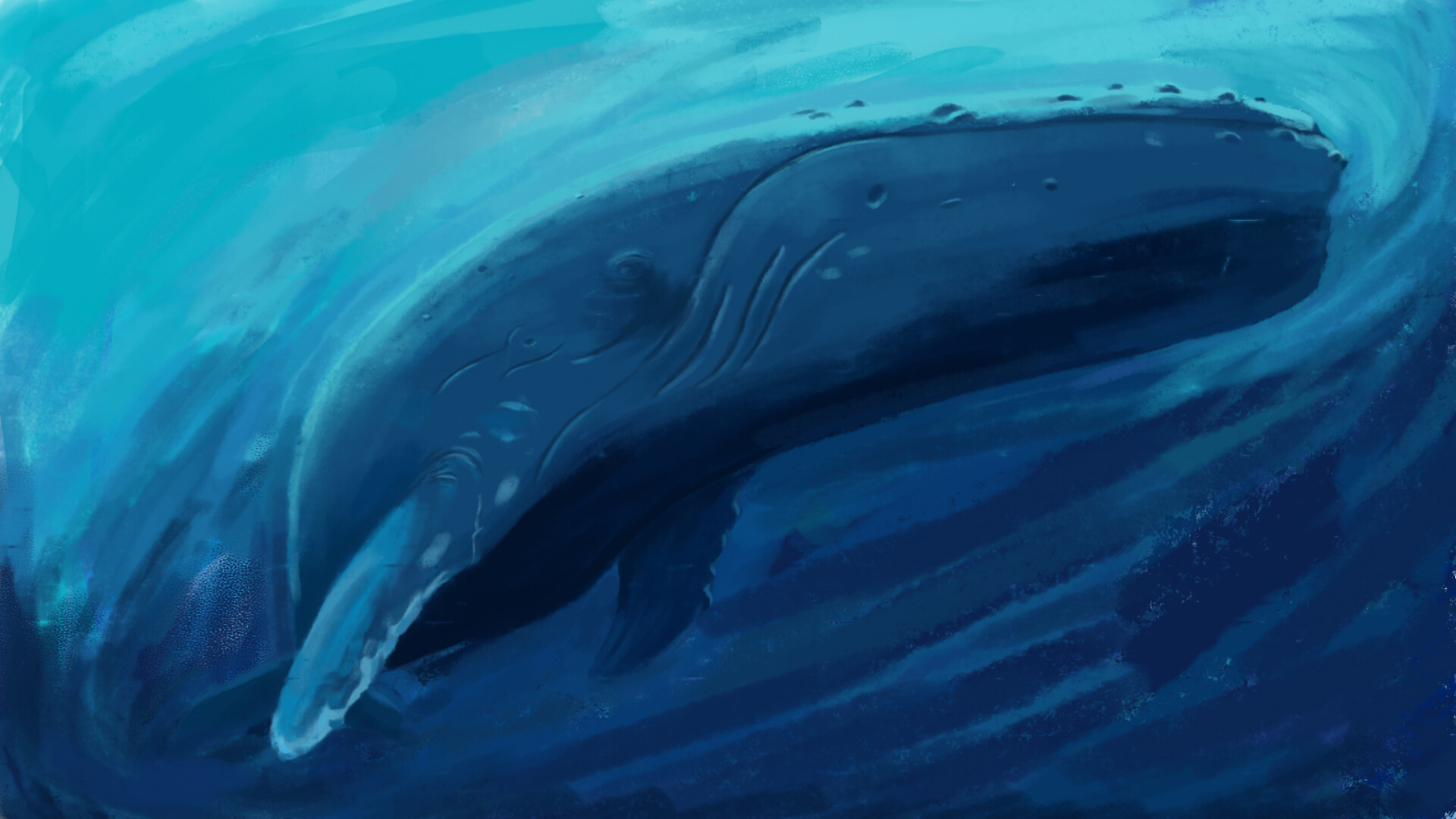 ArtStation - Whale