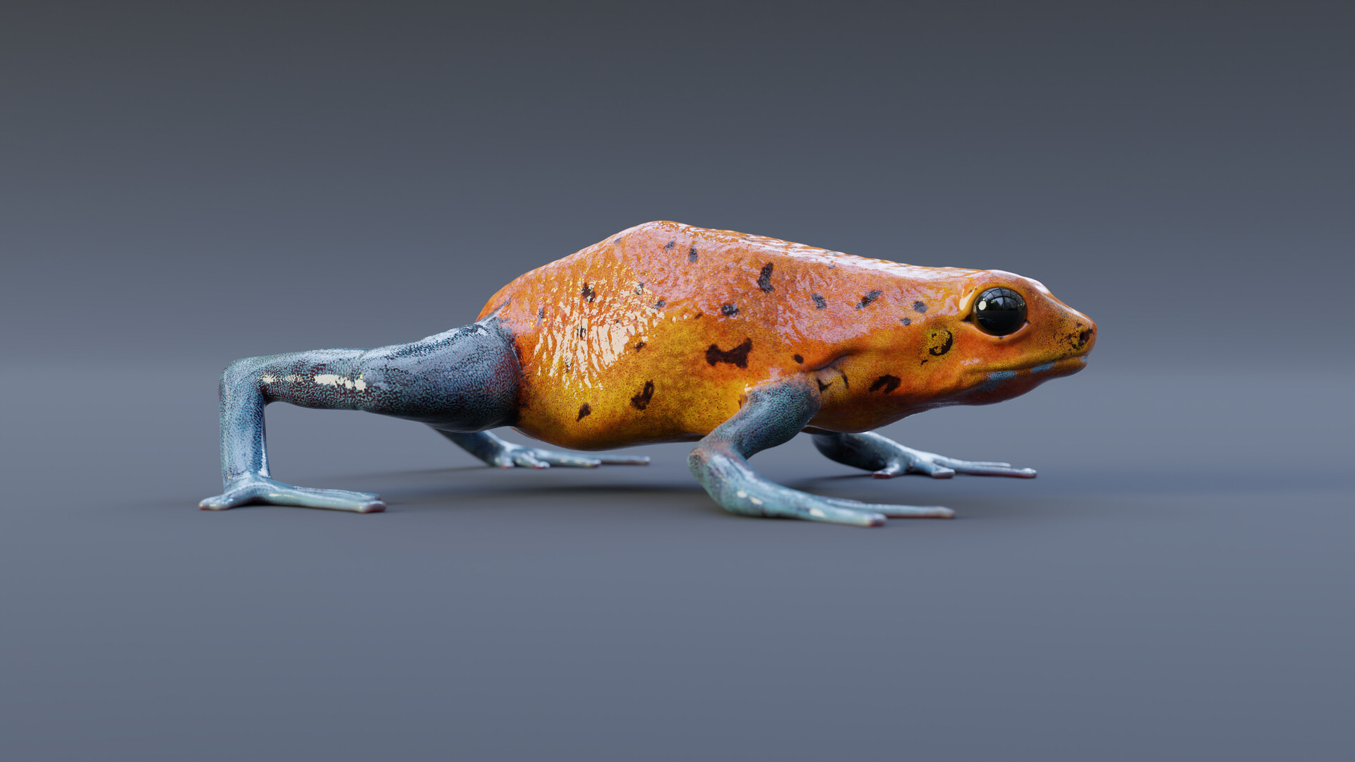 ArtStation - Poison Dart Frog