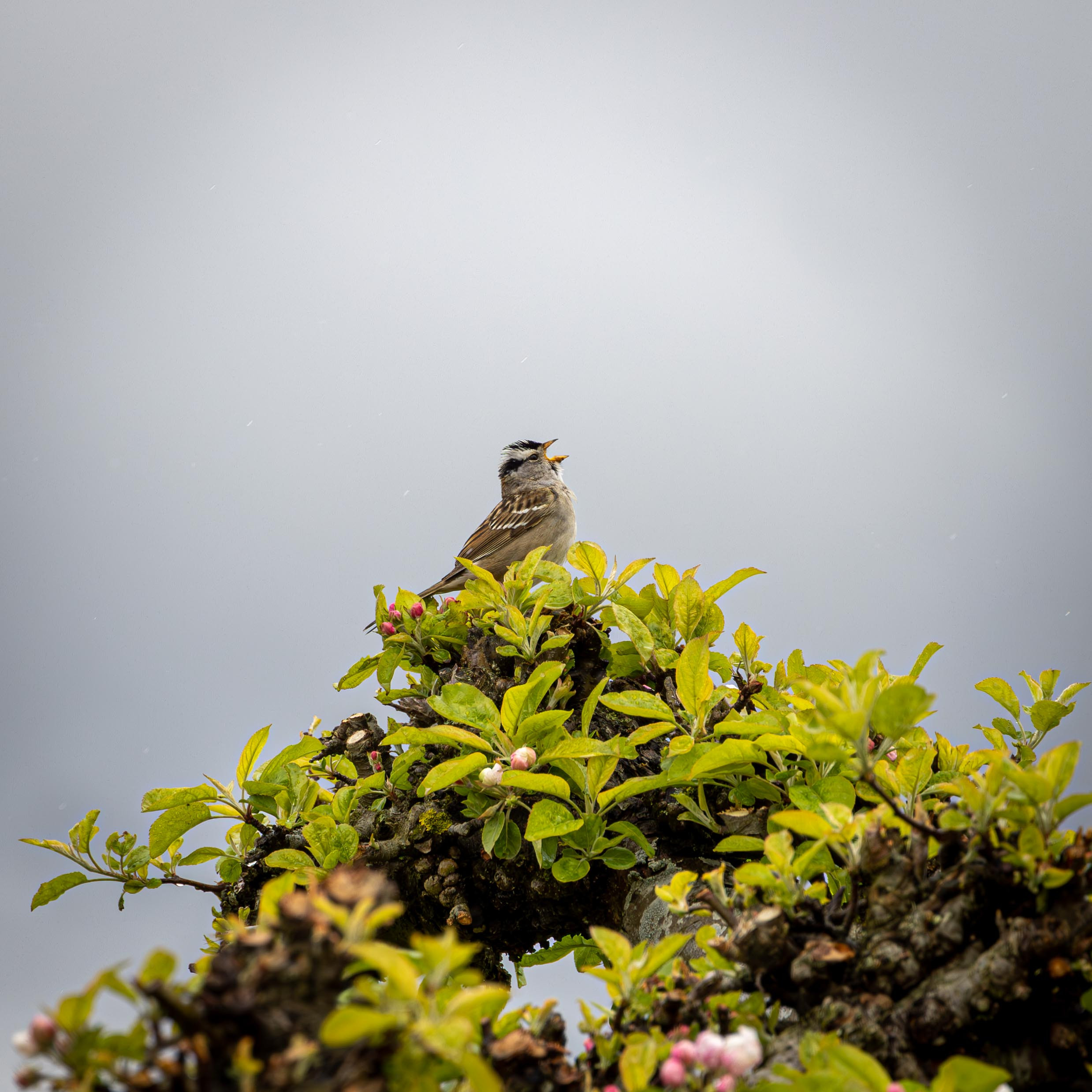 Matt Smith - Photography