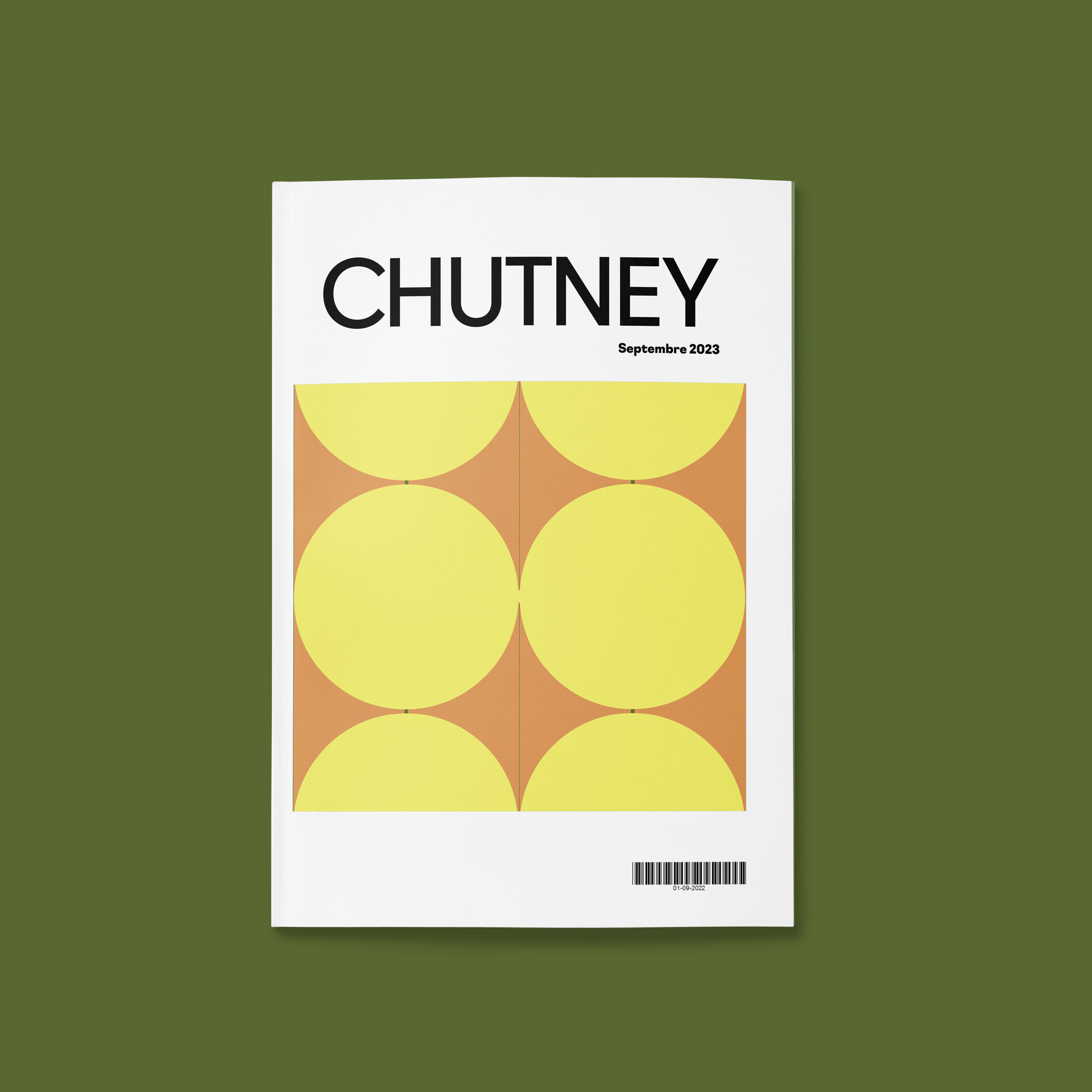 ArtStation - Chutney Mag
