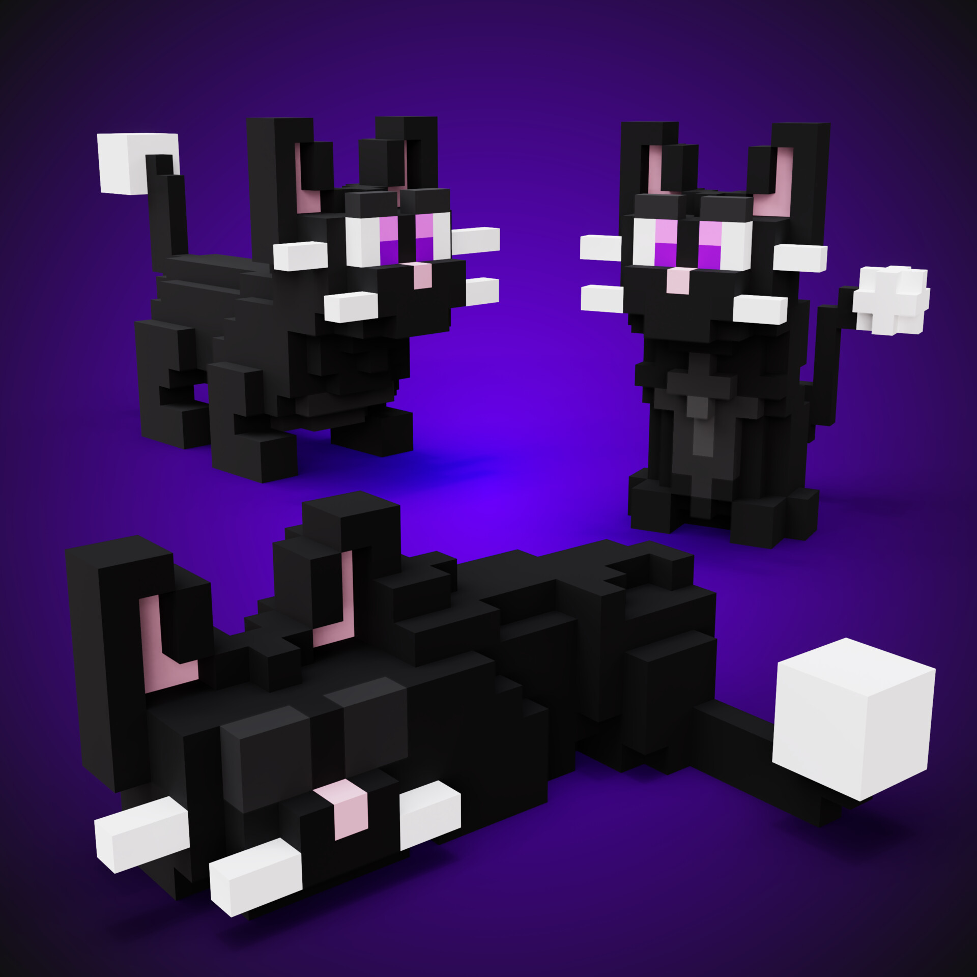 ArtStation - Black Cat