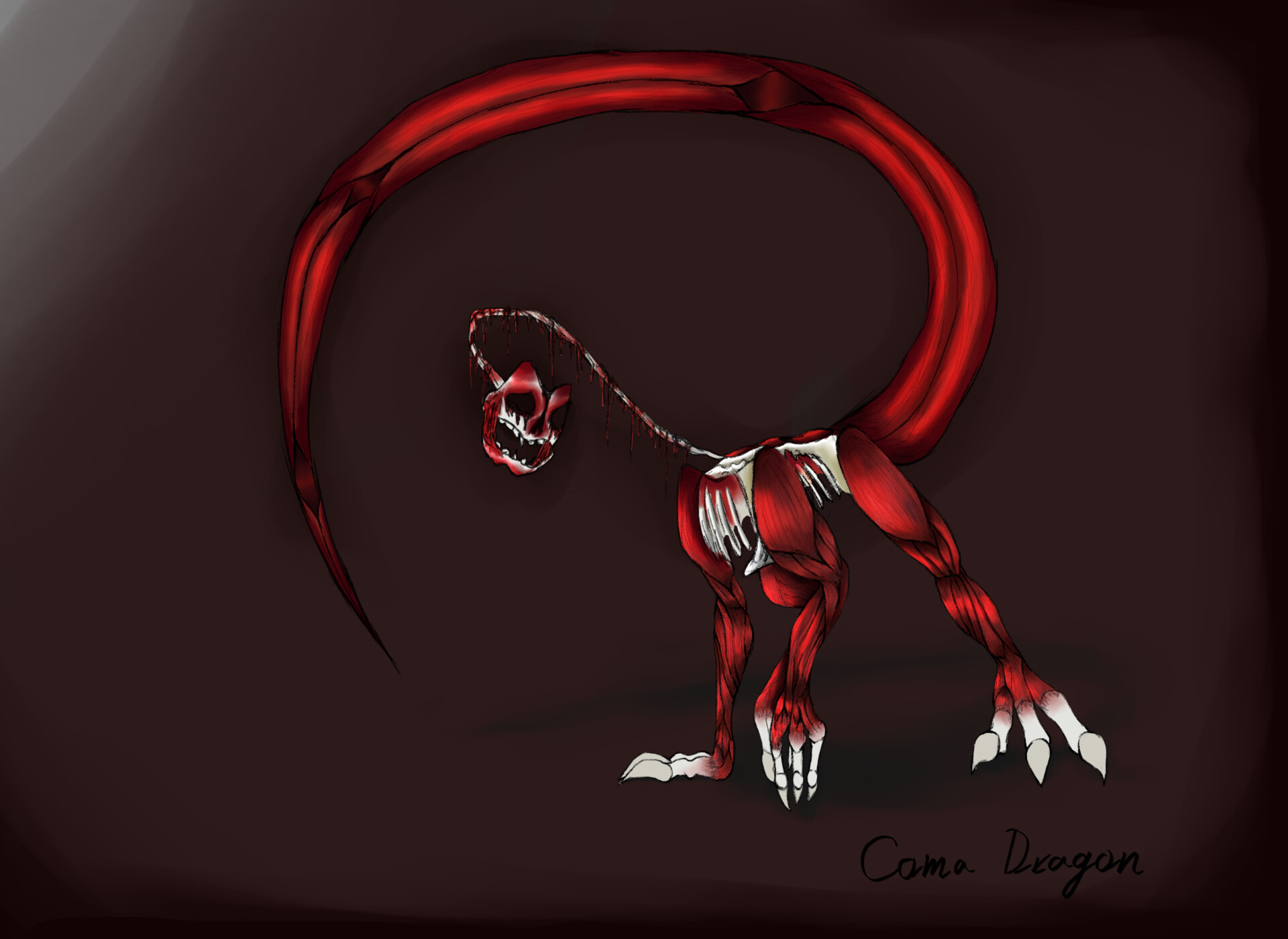 ArtStation - Muscle and Tissue