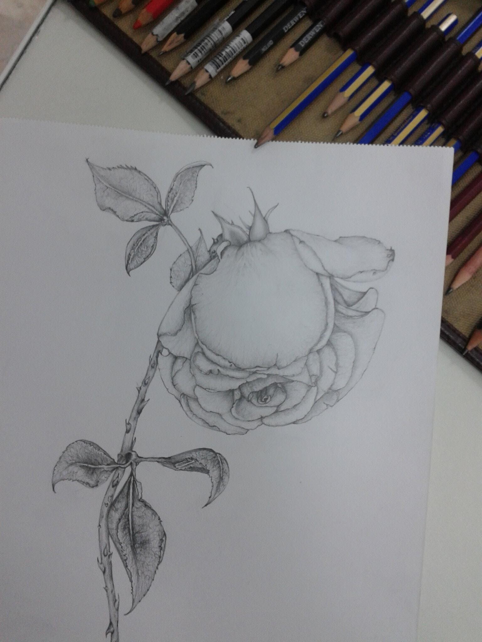 Caner Kahya - Traditional Drawing / Skecthes.