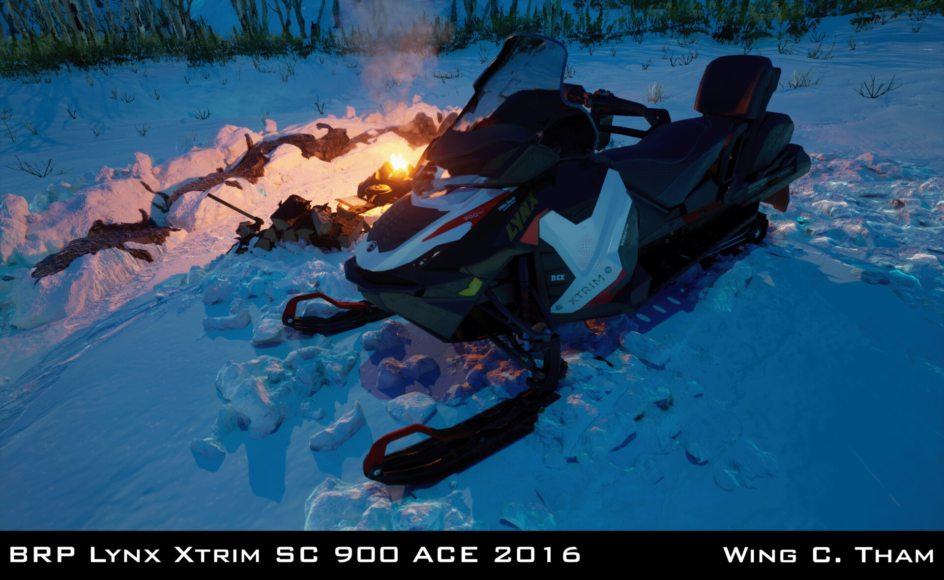 Wing Tham - BRP Lynx Xtrim SC 900 ACE 2016