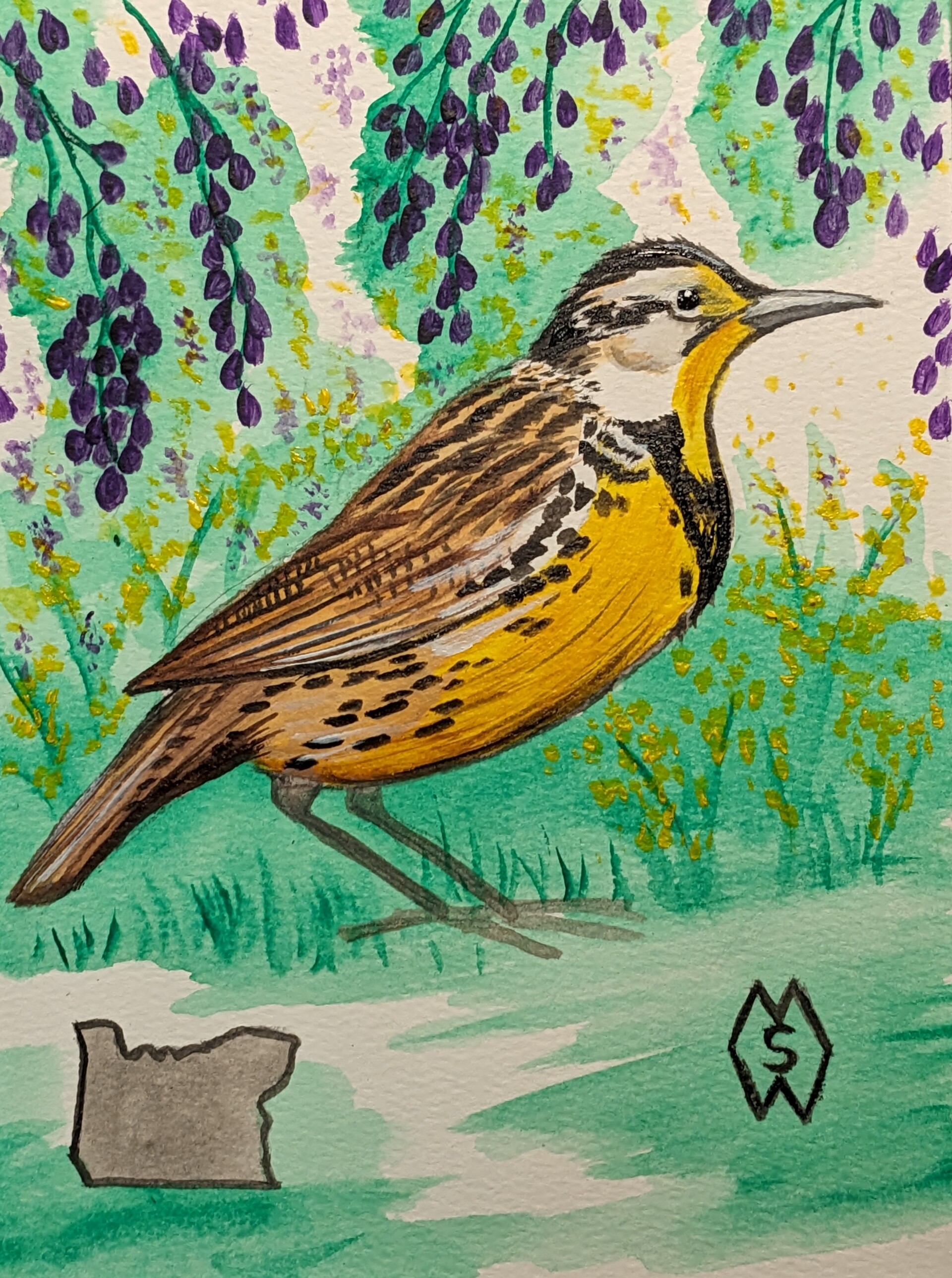 ArtStation - Oregon state bird and flower, the meadowlark and Oregon grape
