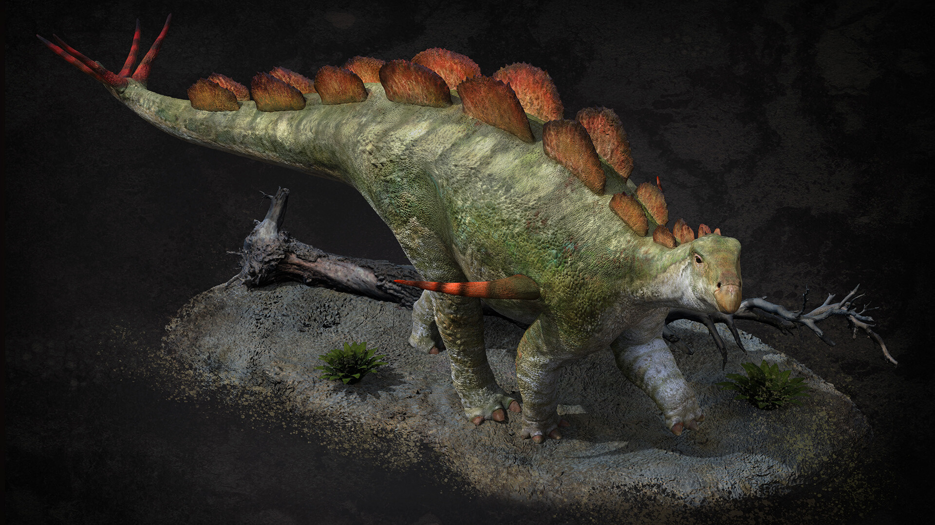 Wuerhosaurus Images