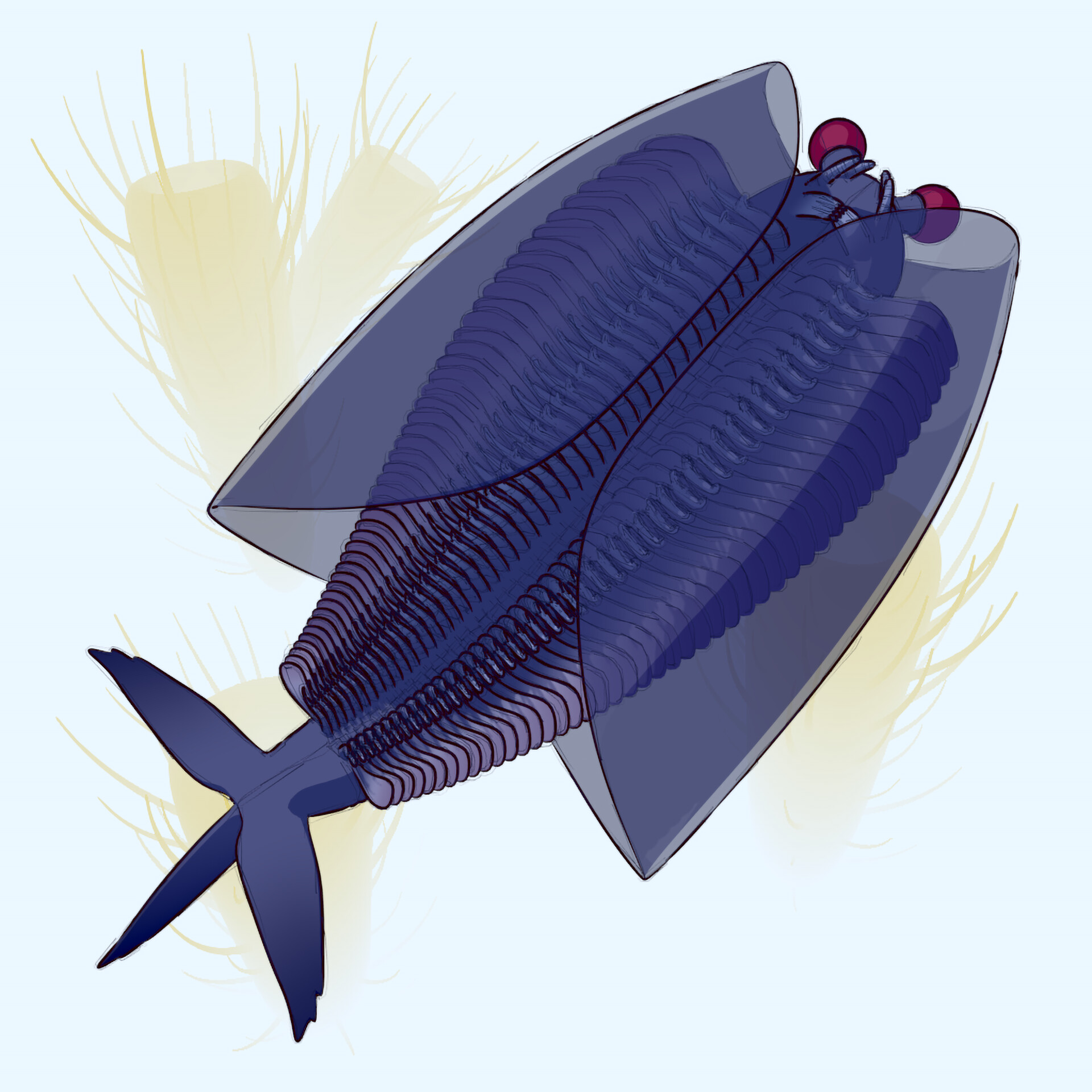 ArtStation - Fossil invertebrates simple renders (2022)