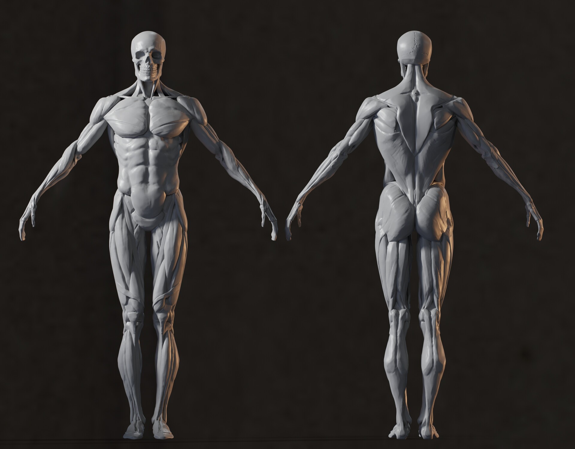 ArtStation - Sketches of human anatomy