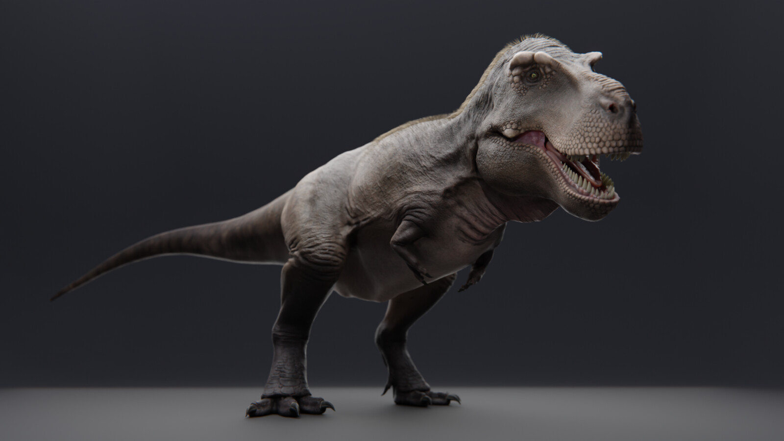 Stojan Colovic - T-Rex