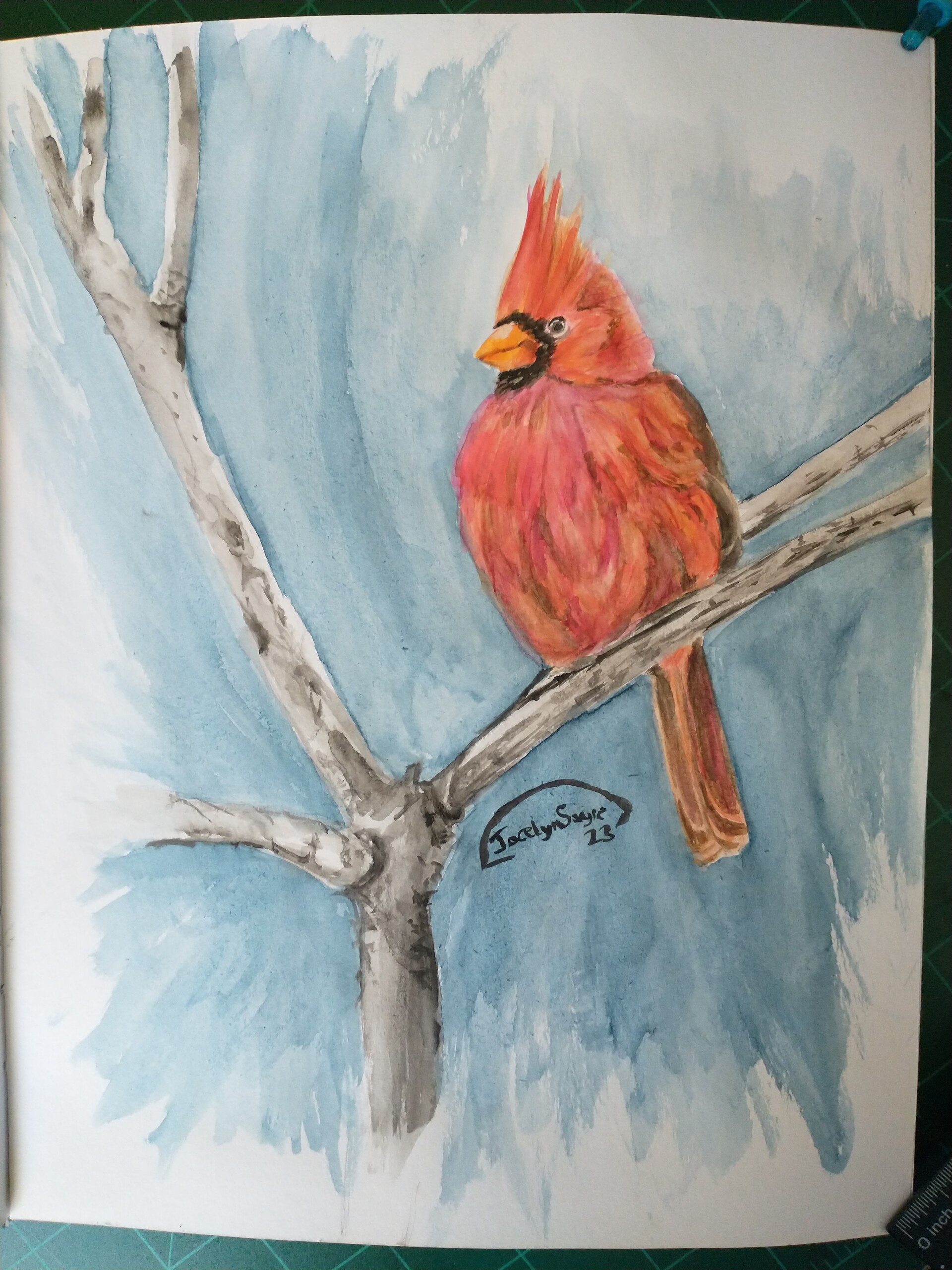 ArtStation - Cardinal - Watercolor