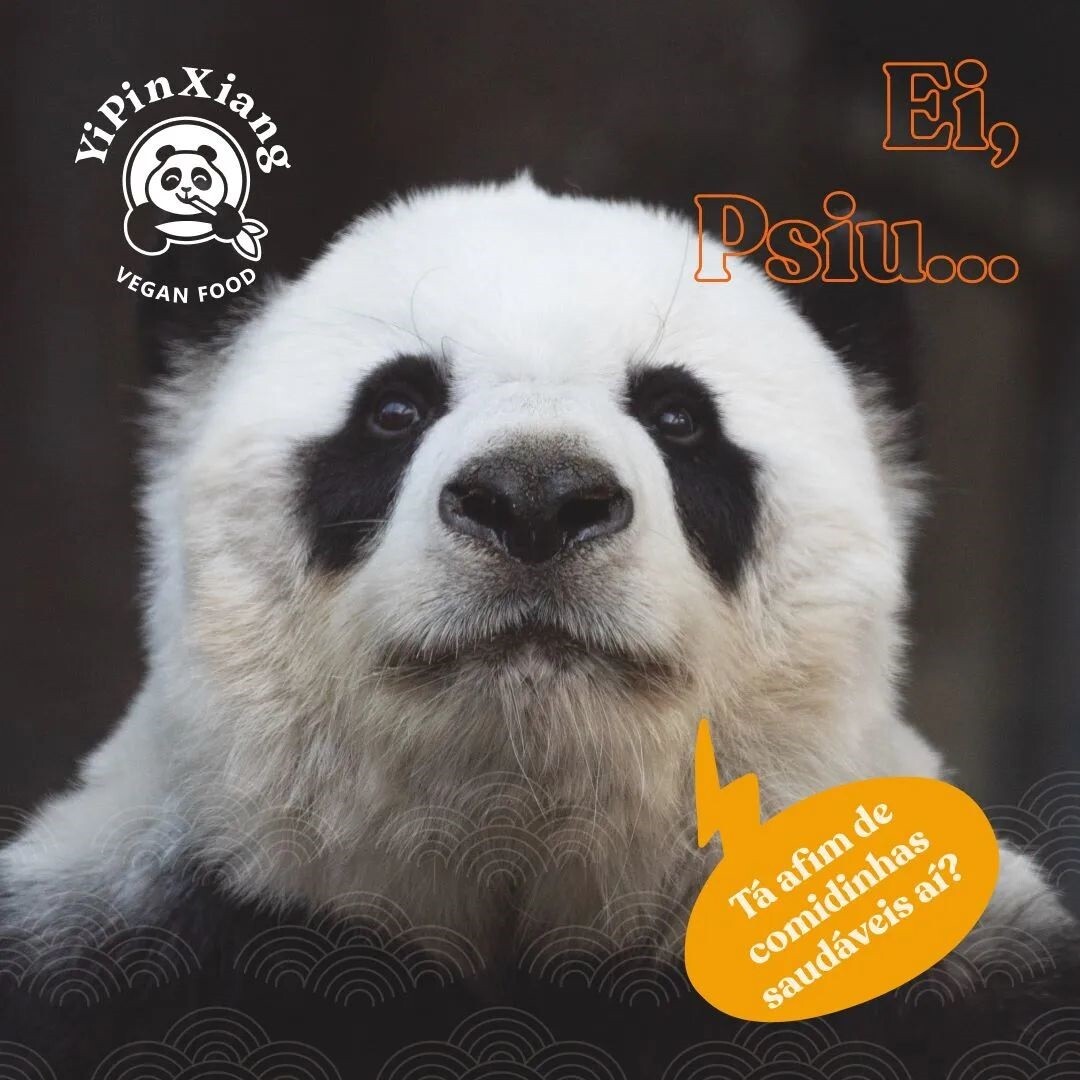 ArtStation - Panda Vegan Foods_Intagram Posts