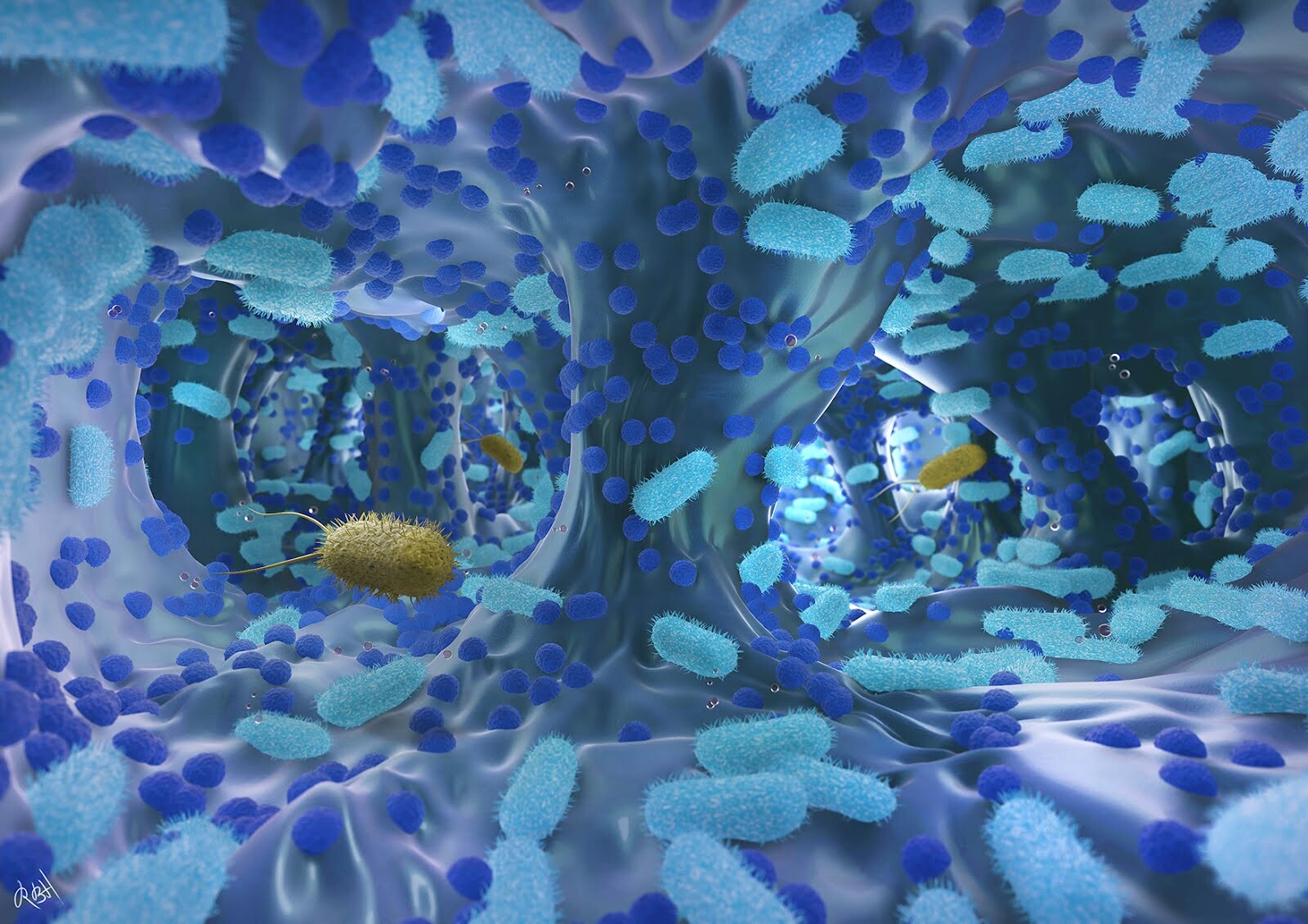 ArtStation - Cave structure of a biofilm