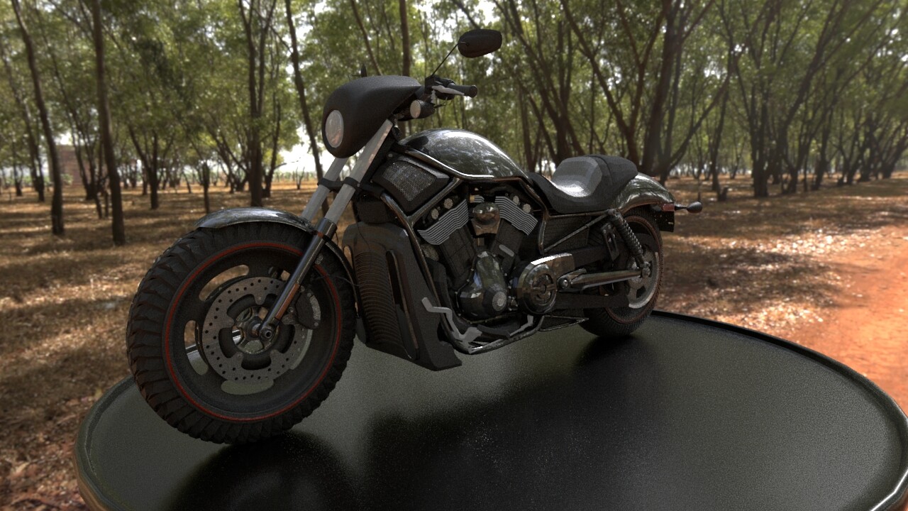 Flavia Thomas TzA - Harley Davidson MotorCycle TsA