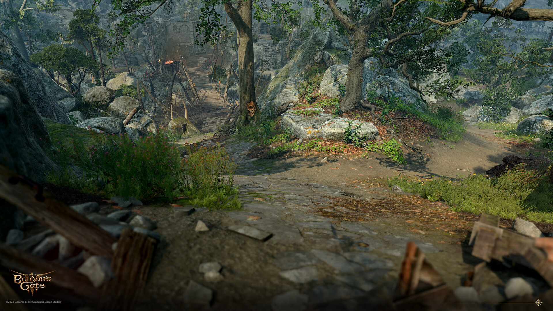 Rick van den Berg - Baldur's Gate 3 - Forest